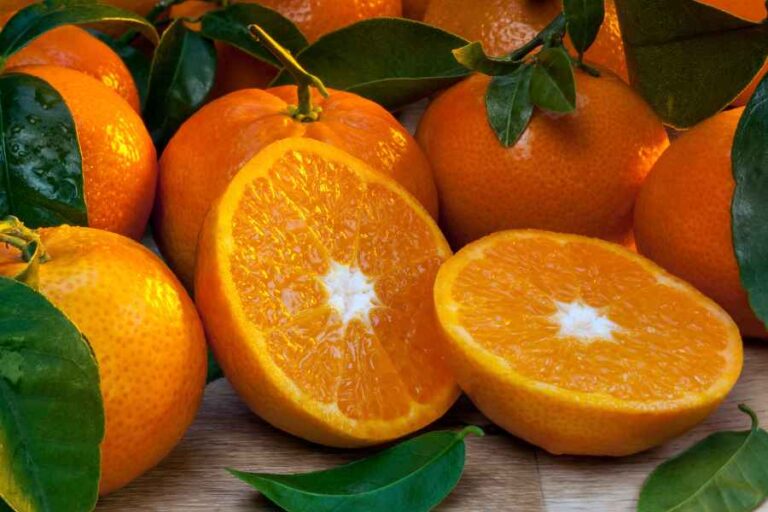 Fuzzy Navel – Imagine your brunch cocktails with this fun blast from ...