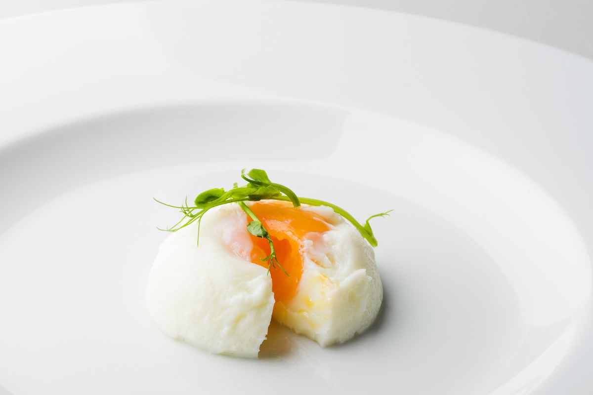 How to Poach an Egg Perfectly – Urbaki Cooking