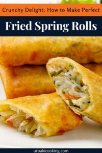 Crunchy Delight: How to Make Perfect Fried Spring Rolls – Urbaki Cooking