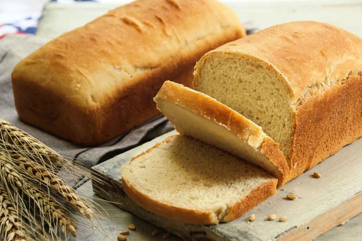 Baking Basics: Your First Easy Bread Recipe (With Pro Tips!) – Urbaki ...