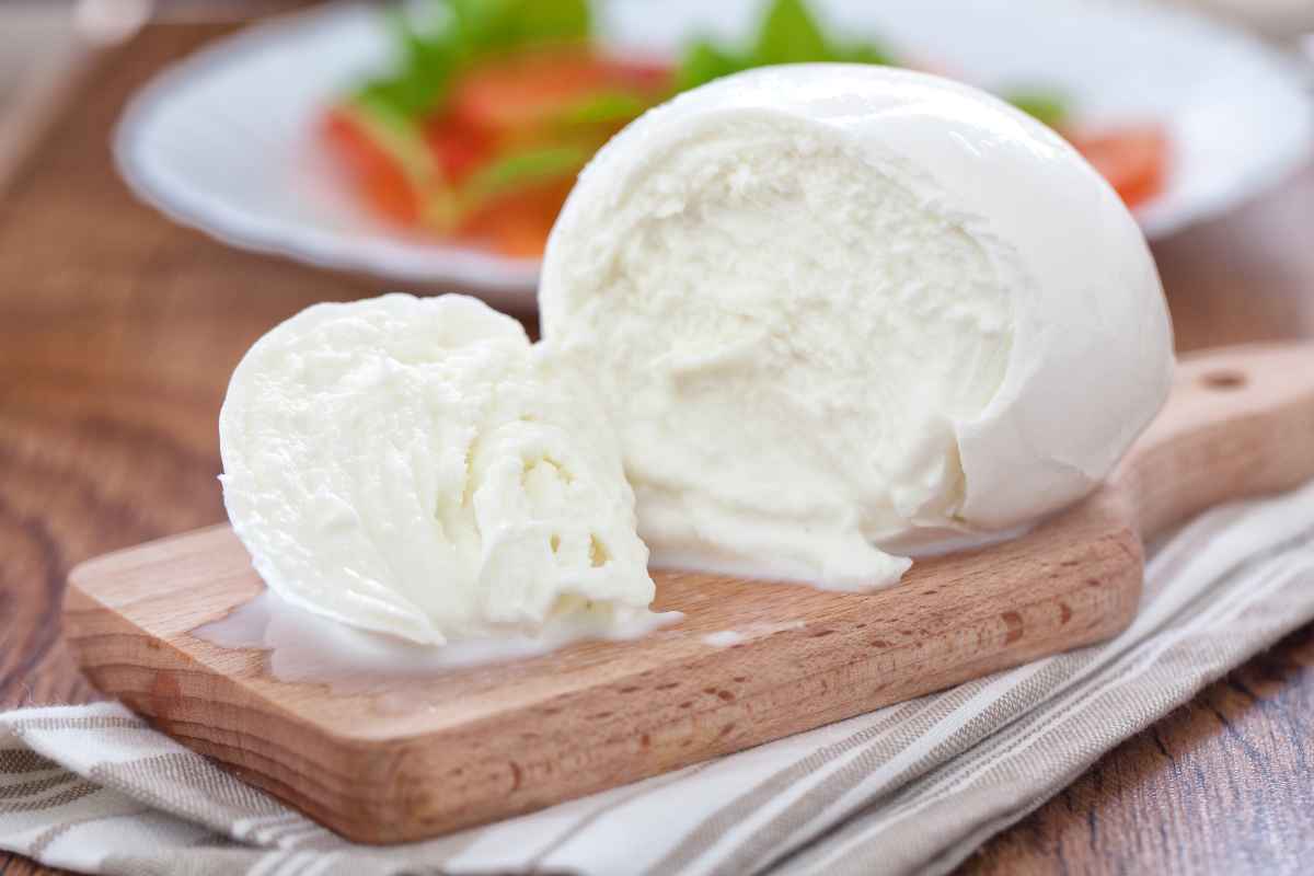 Homemade Stretchy Mozzarella Cheese with Only 2 Ingredients