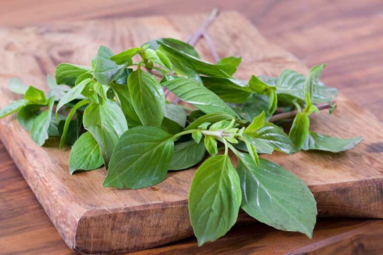 How to Use Thai Basil in Flavorful Asian-Inspired Recipes